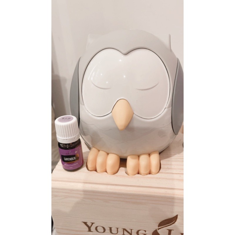 Owl Diffuser Young Living with lavender oil 5ml ready stock | Shopee Malaysia