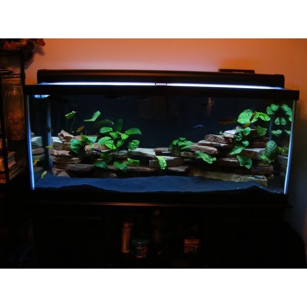 High Quality Crystal Black Sand For Aquarium -No Effect In Fish Tank ...