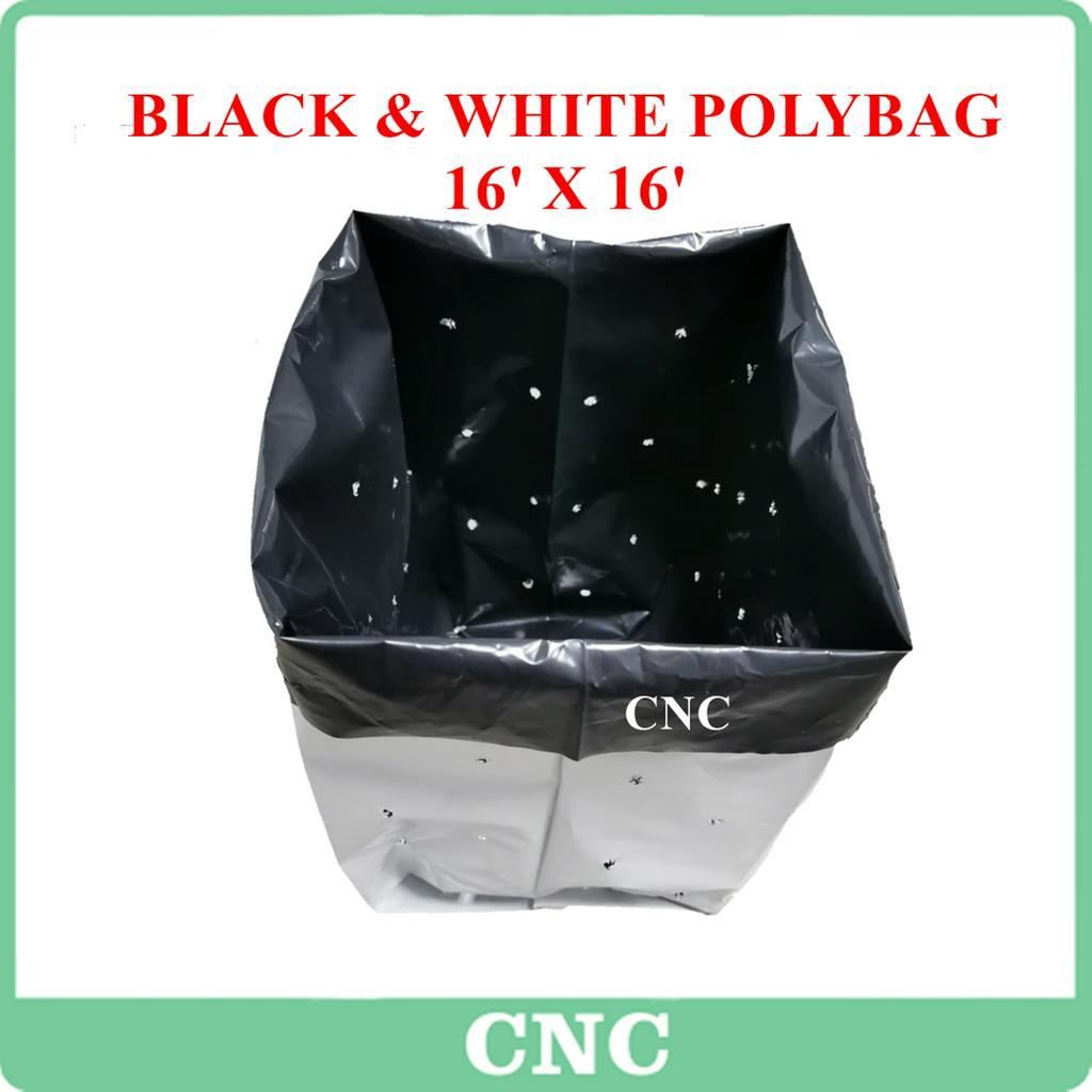 1kg 16x16 Premium Black & White Polibeg UV Poly Bag Polybag Fertigasi ...