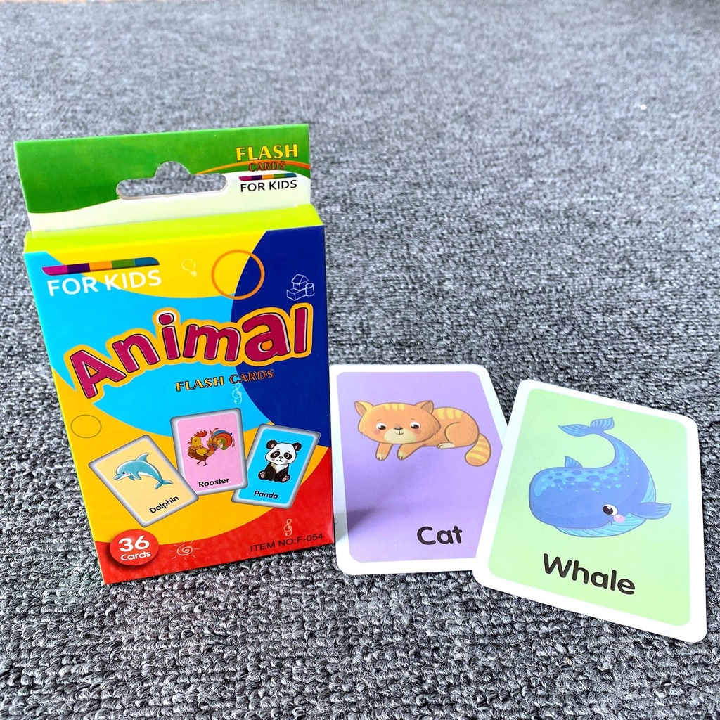 learning cards abc Learning Card Arabic Learning Card for Kids Alphabet ...