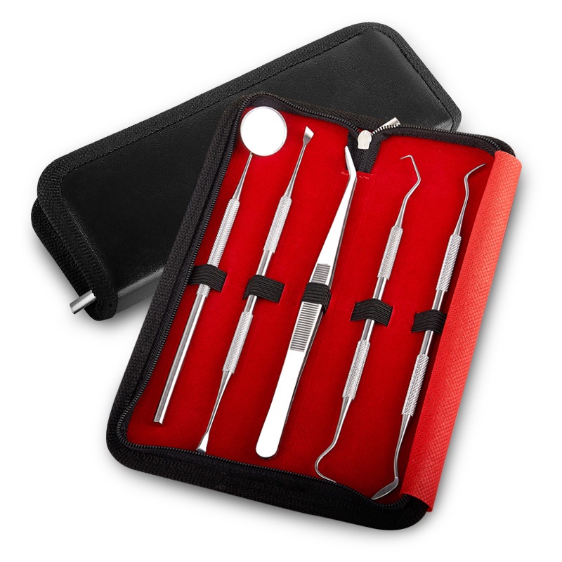 6pc Stainless Dental Tool Set Dentist Tooth Clean Hygiene Picks Mirror ...