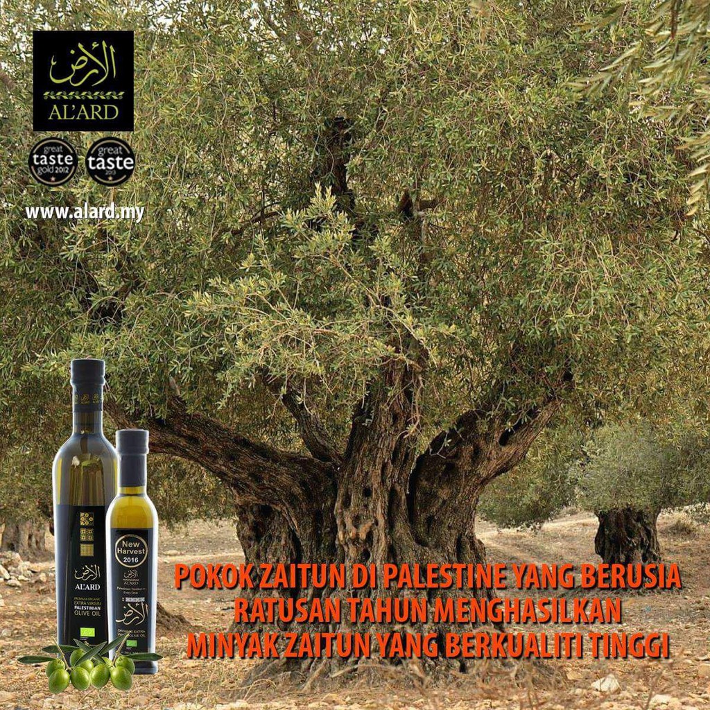 Minyak Zaitun Palestinian Organic Extra Virgin Olive Oil (250ml ...