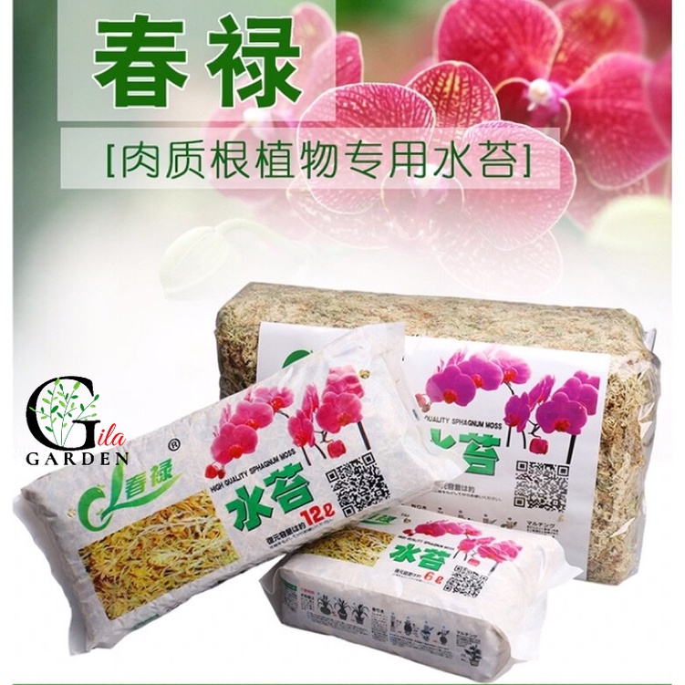 12L (Litre / Liter) High Quality Dried Sphagnum Moss, Lumut Sphagnum ...