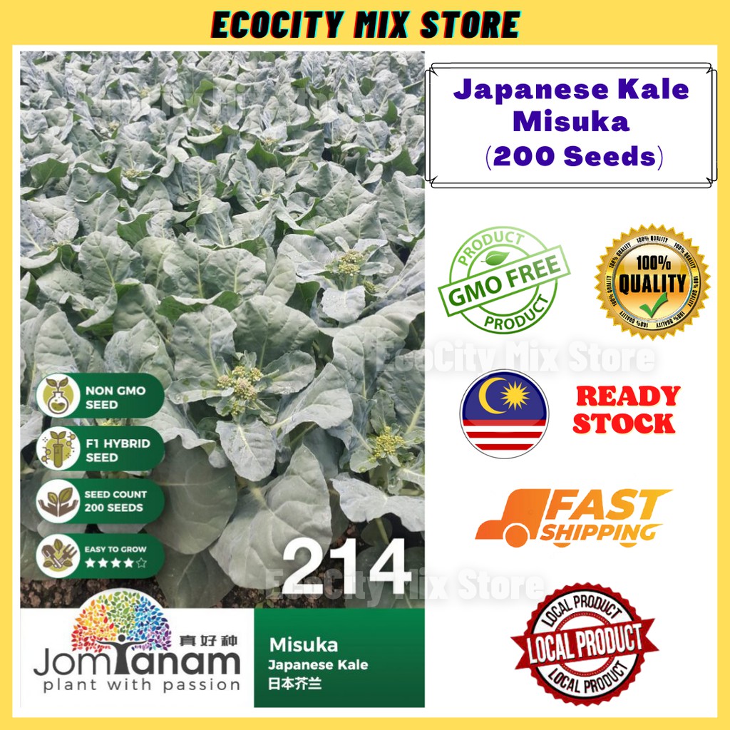 Japanese Kale Misuka (200 Seeds) Benih Kailan Jepun 日本芥兰种子 Jom Tanam by ...