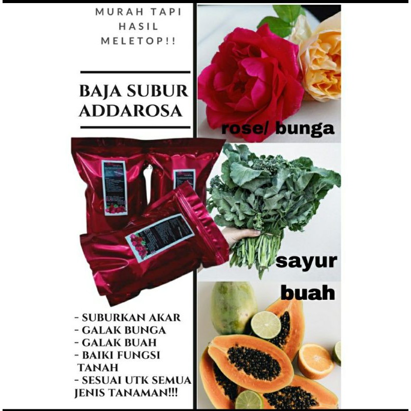 BAJA Rose 5KG (Addarosa) | Shopee Malaysia