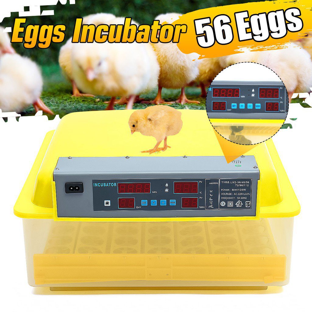 New upgrade / lowest price 56 eggs constant temperature chicken ...