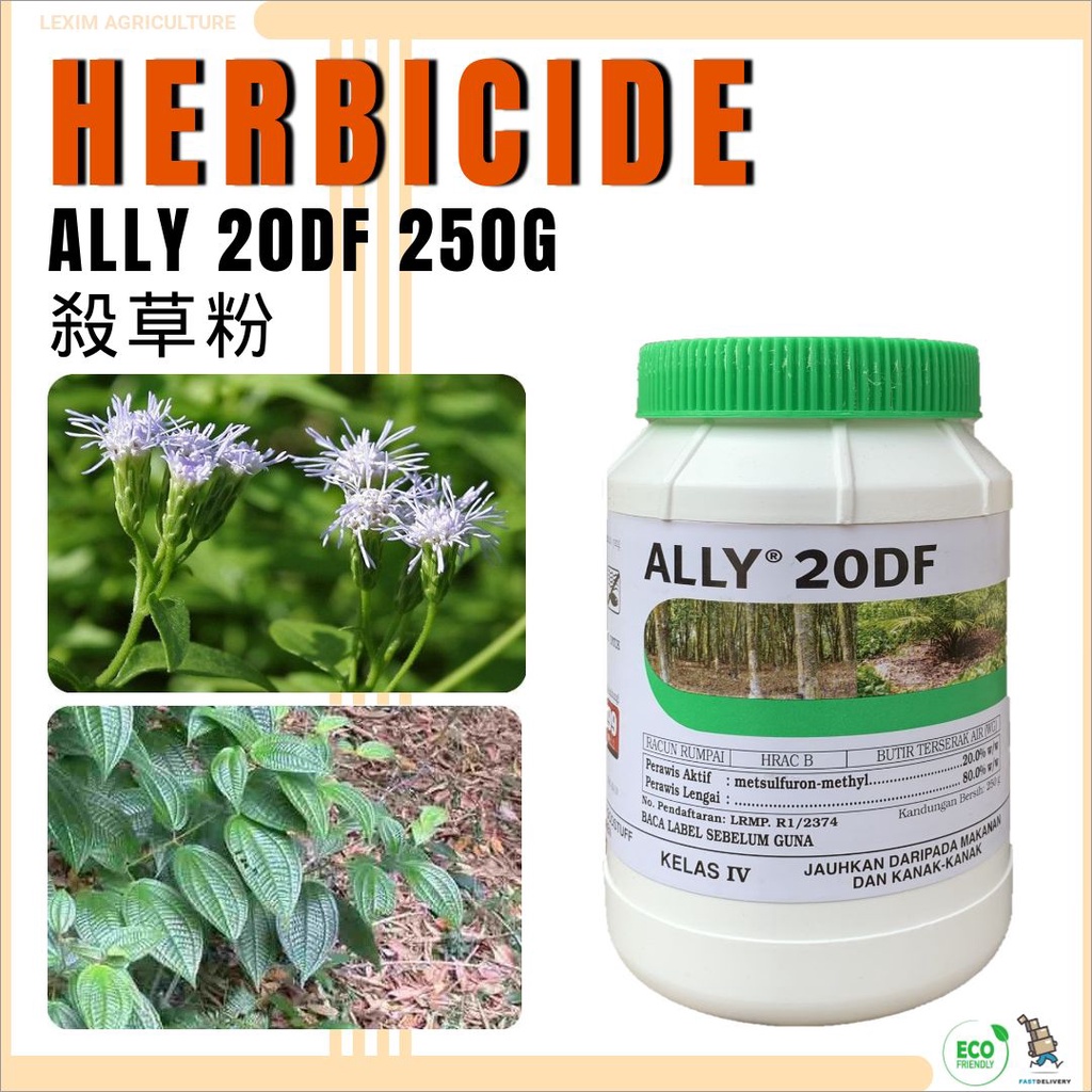 🔥READY STOCK🔥 Ally 20 DF - 250G ( RACUN RUMPAI / HERBICIDE / 杀草剂 ...