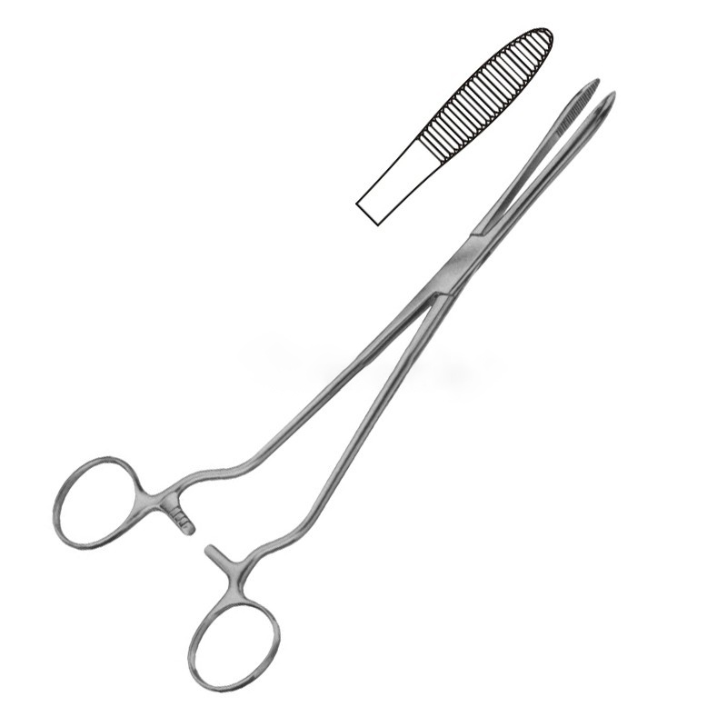 Cheron Sponge Holding Forceps Angled 24cm/Cheron Dressing Forceps ...