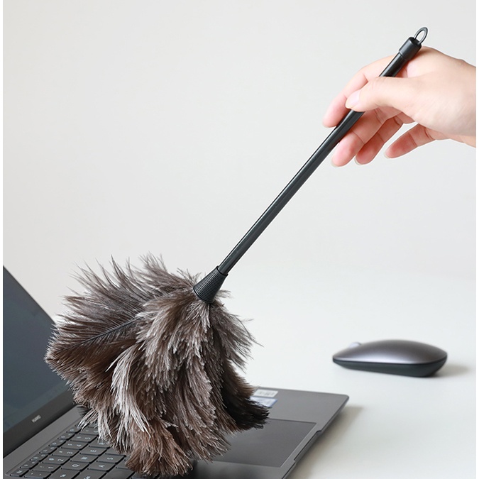 Mini Dust Duster Ostrich Feather Duster Small Feather Duster | Shopee ...