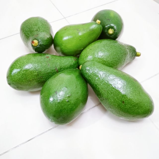 [Malaysia Ready Stock] 1kg Fresh Avocado from Cameron Highlands - Pick ...