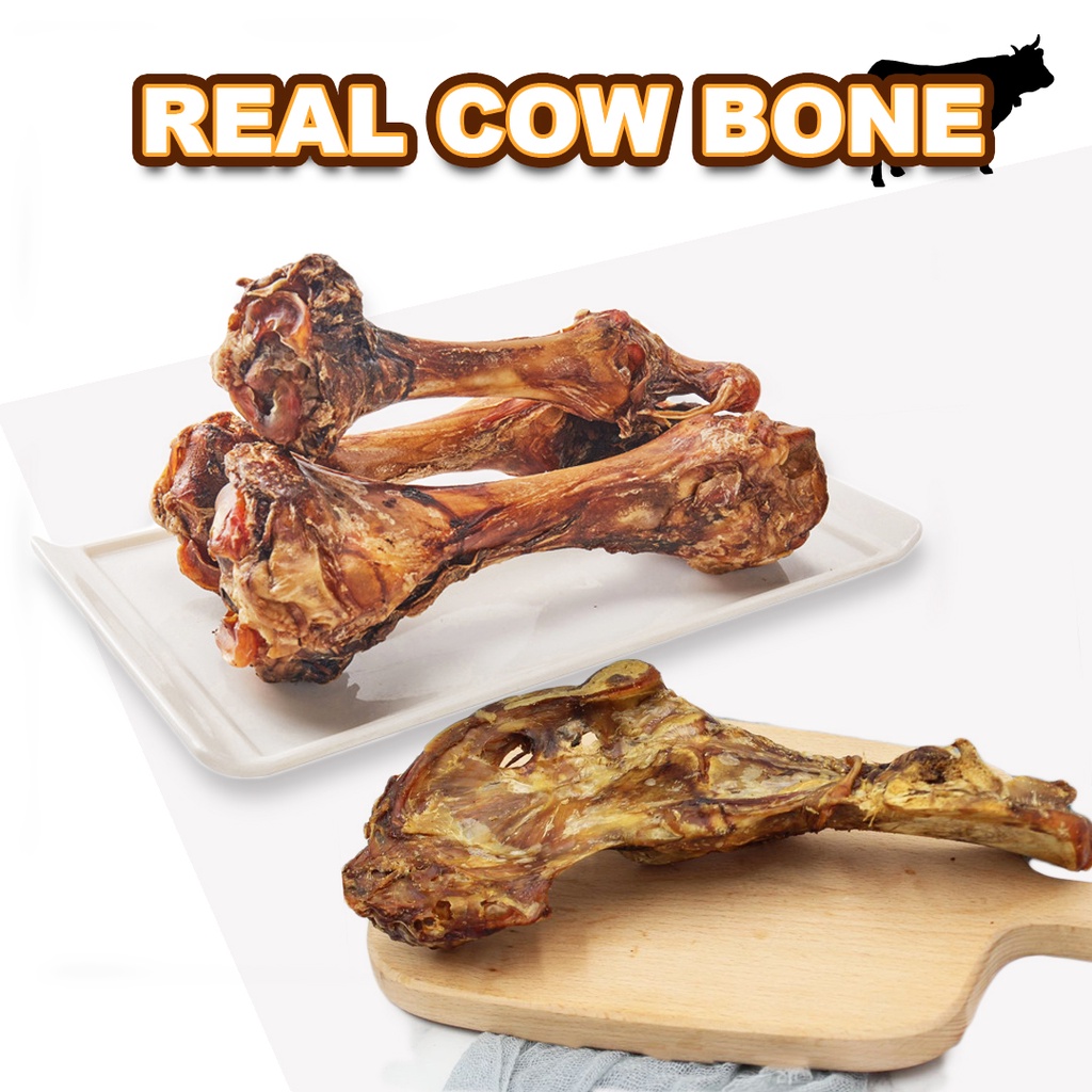 Real Cow Bone Dog Treats Dog Chewing Bone | Shopee Malaysia