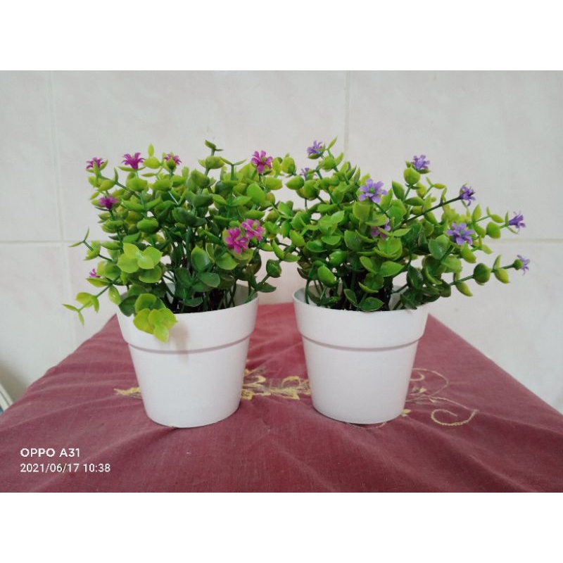 ~pasu bunga hiasan plastik ready ~ | Shopee Malaysia