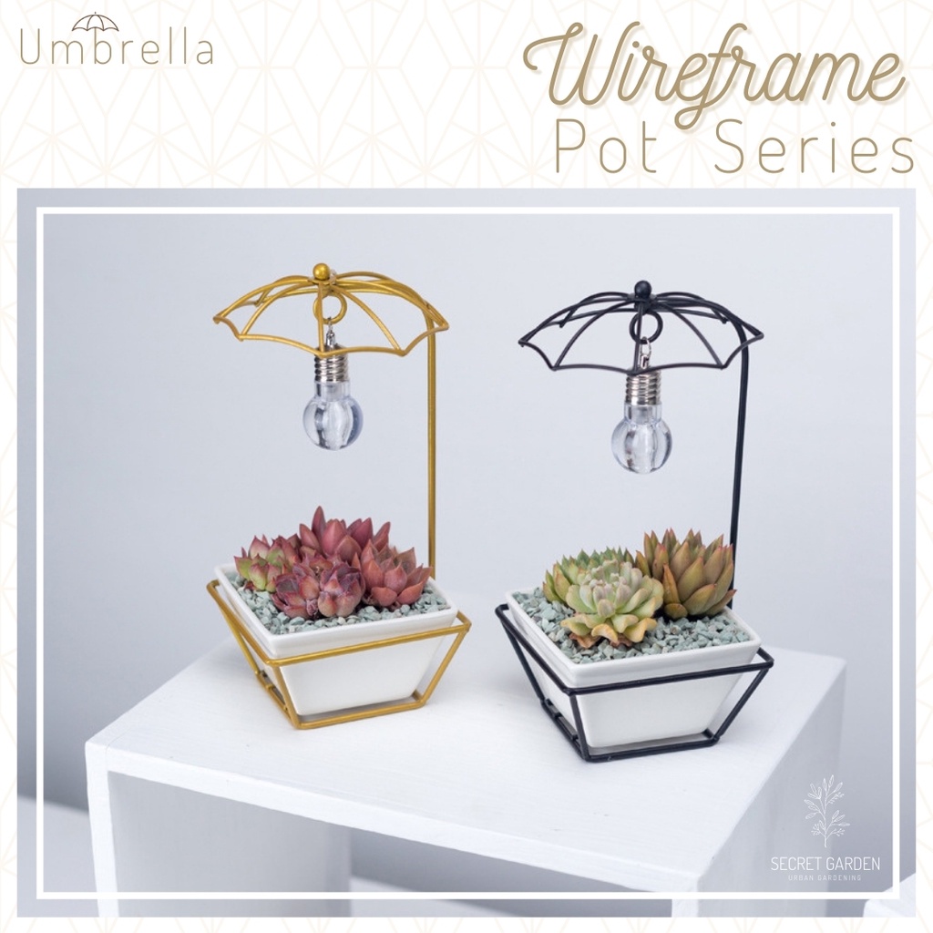 CLEARANCE 𝐖𝐈𝐑𝐄𝐅𝐑𝐀𝐌𝐄 𝐏𝐎𝐓 𝐒𝐄𝐑𝐈𝐄𝐒 Umbrella Succulent Flower Pottery Clay ...