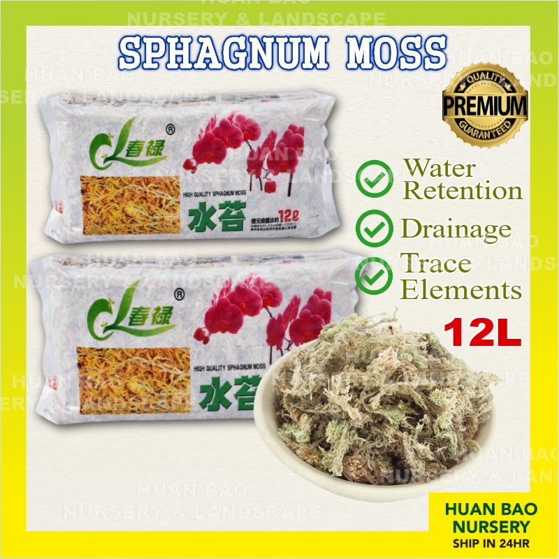 Premium Sphagnum Moss Orchid Garden Plant 12L± lumut For Phalaenopsis ...