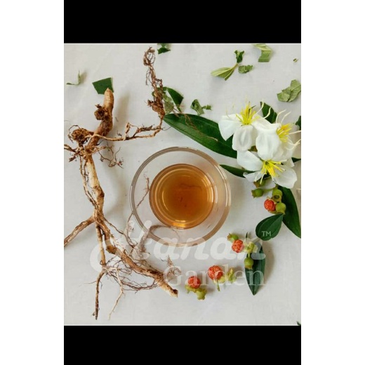Tea/Dried Leaf/Dried Senduduk Putih/Senduduk Putih Kering/Melastoma ...