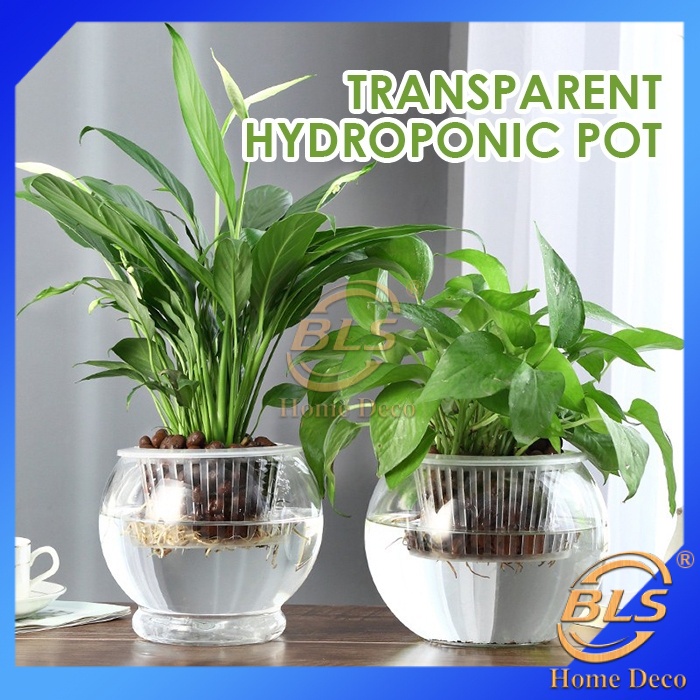 Transparent Hydroponic Pot Hydroponic Plants Flower Pots Basin Garden ...