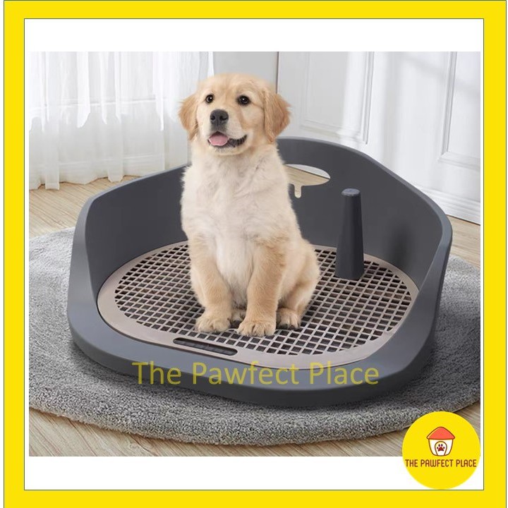 Potty Training Toilet For Dog 2021 Latest Design (Free Potty Training ...