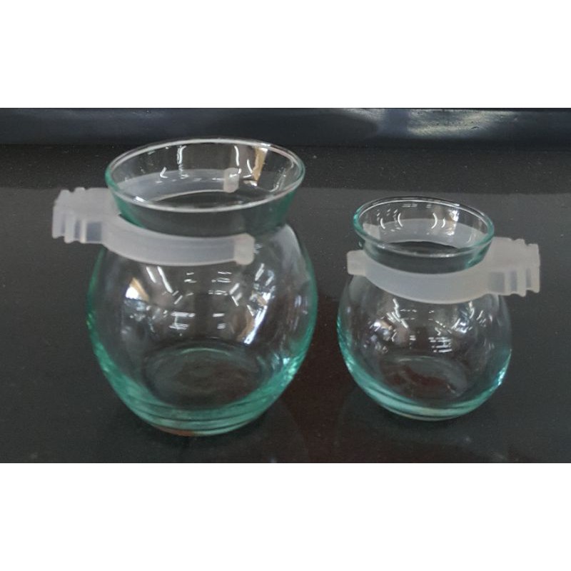 Cawan Kaca Burung Jambul/ Murai | Shopee Malaysia