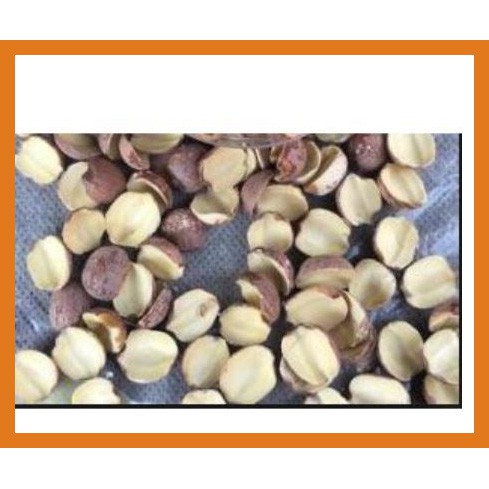 *Raya Sale* sale *offer* 500gram Organic Hunan Lotus Seeds 湖南磨皮莲子袋装 ...
