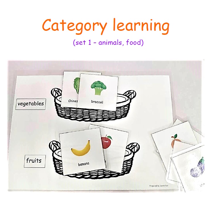 C001- Softcopy PDF - Category Learning/Quiet book/Busy book/Animals ...