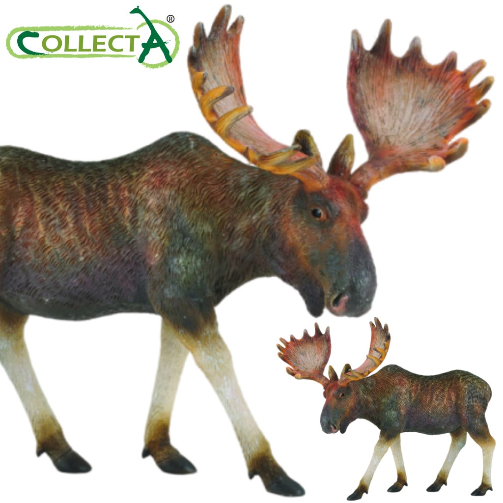 Moose - Collecta 88335 Wild Life Animal Action Figures / Toys Figurine ...