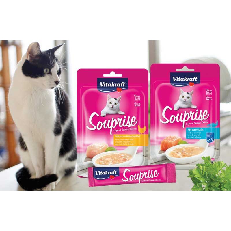 Vitakraft Souprise Liquid Snack 4x20g (2 flavors) | Shopee Malaysia