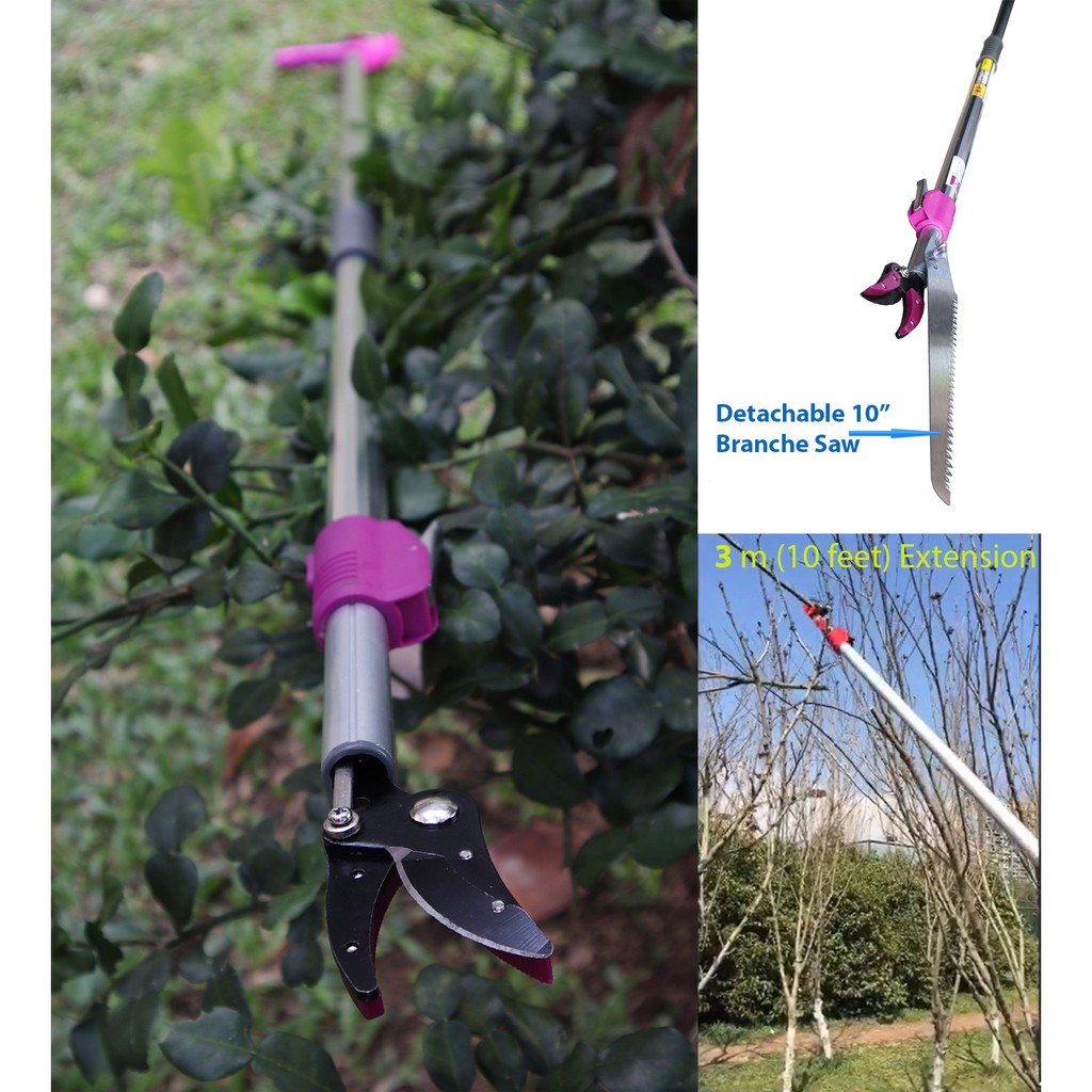 Fruit Picker and Cutter Tree Branches Pruner upto and Saw Extendable ...