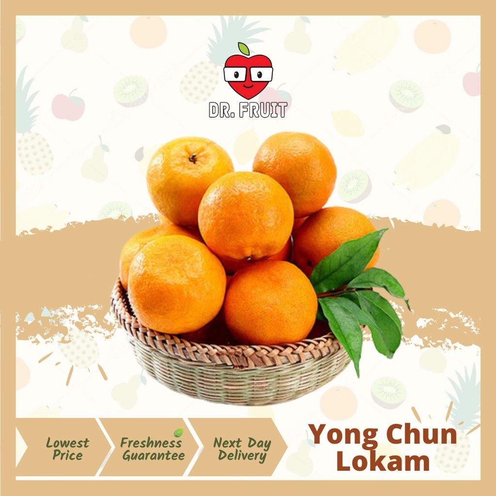 Yong Chun Lokam XL 24's 永春芦柑 | Dr.fruit | Shopee Malaysia