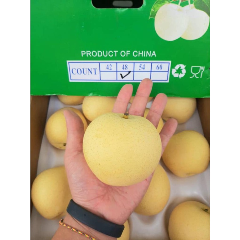 Fresh Pear (Korea Singo Pear | China Century Pear) | Shopee Malaysia