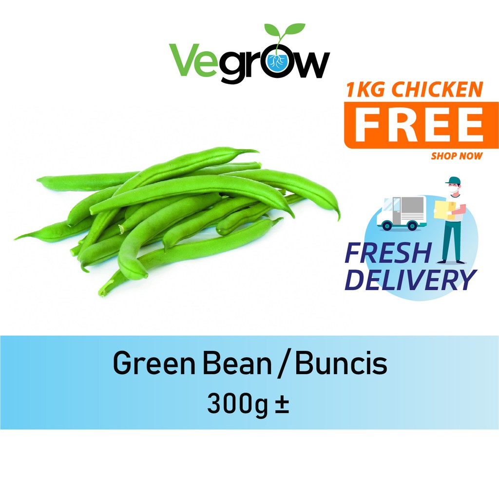 🔥FRESH 🔥Green Bean / Buncis 300g +- | Shopee Malaysia