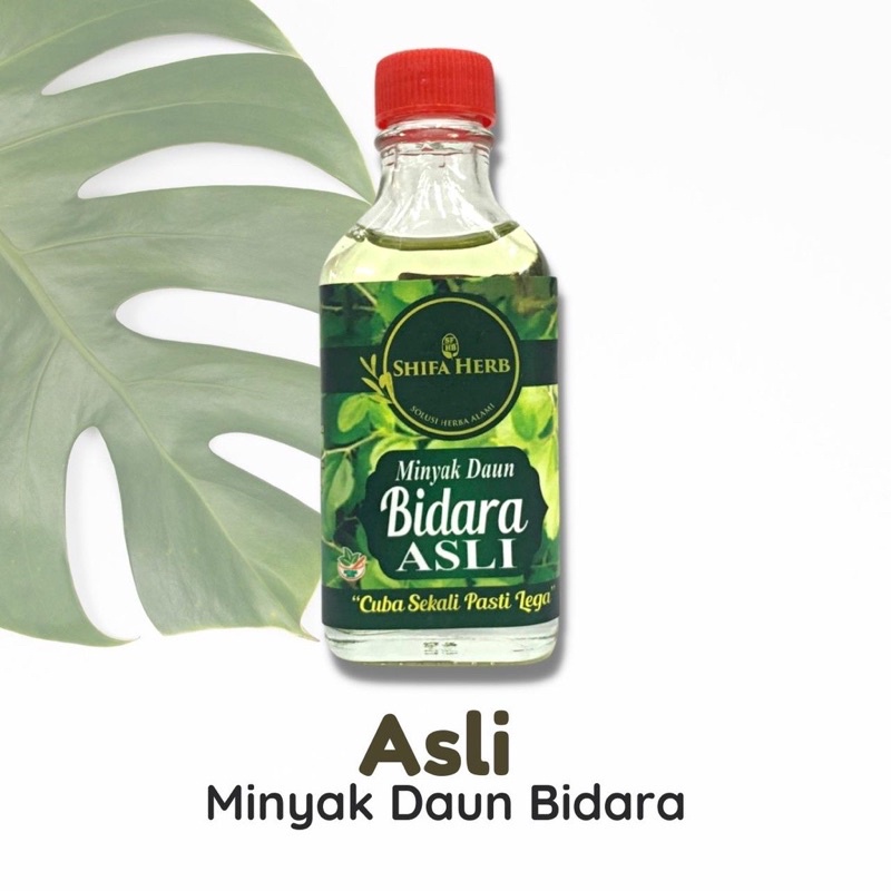 SHIFA HERB Minyak Daun Bidara Asli Limau Purut 30ml Ready Stock ...