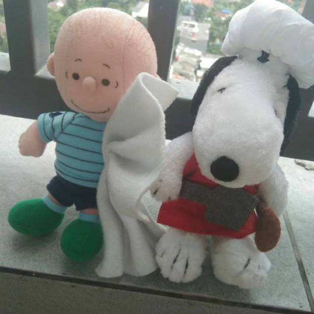 Small snoopy Package | Shopee Malaysia