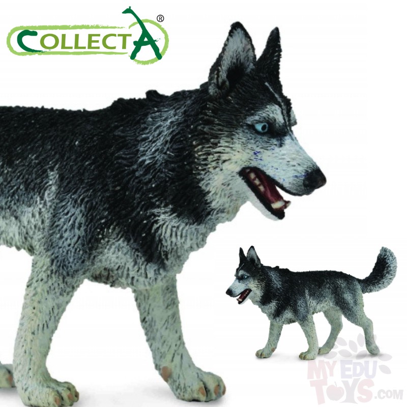Siberian Husky - Collecta 88707 Dog Pet Action Figure / Toy Figurine ...