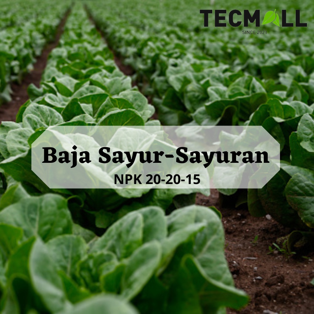 Baja sayur-sayuran rumah premium, 2kg untuk sayur dan buah buahan ...