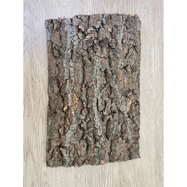 Natural Tree Cork Bark Wood Tree skin for plant reptile terrarium ...
