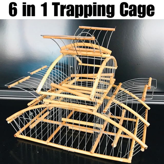 Jebak serindit 6 in 1 jebak Burung Serindit malaysia jebak Sangkar ...