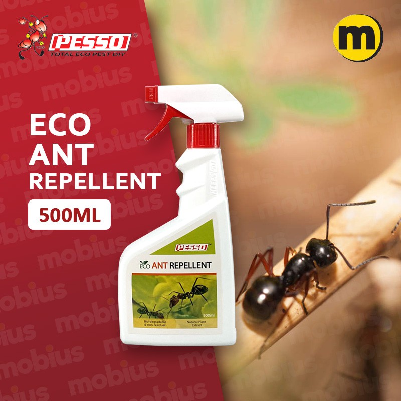 Kleenso Pesso Eco Ant Repellent Liquid Spray 500ML Penghalau Semut ...