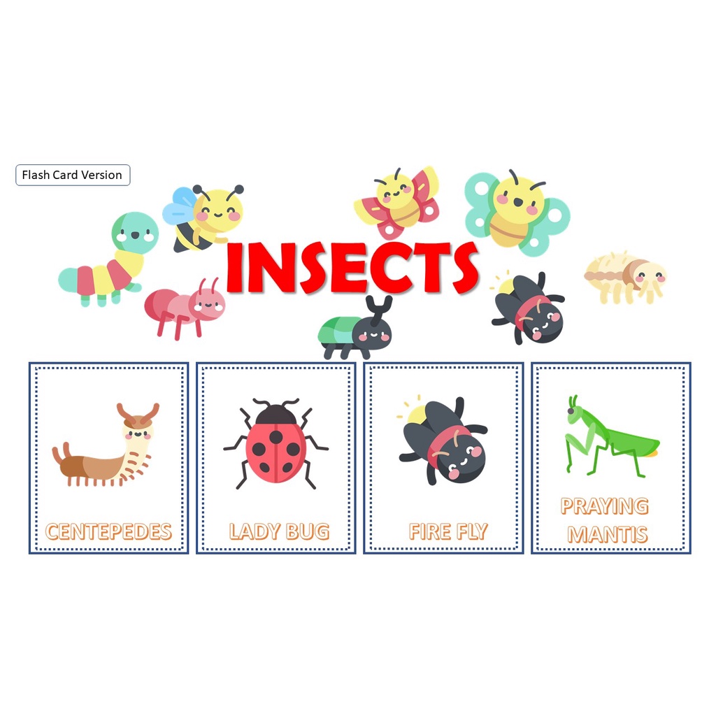 Insects Busy Book 3 in 1 (Flash Card + Busy Book - Picture & Word ...