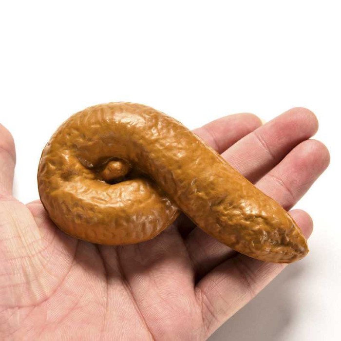 Realistic Poop Shape Stress Relief Squeeze Toy - Chocolate | Shopee ...