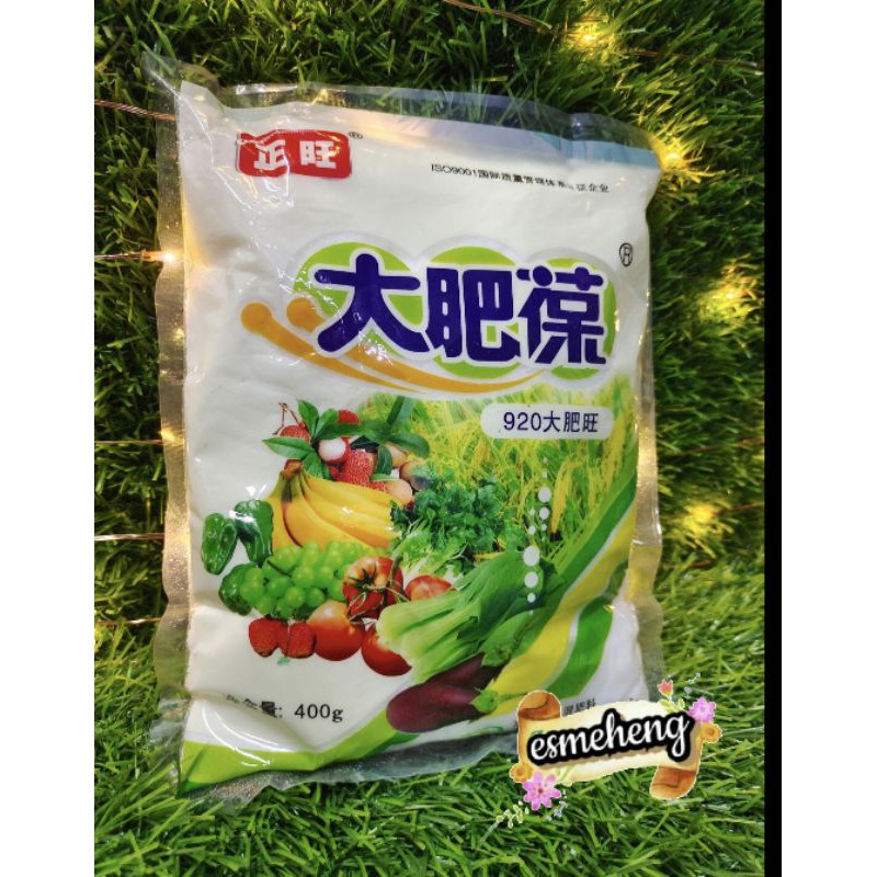 400gm 大肥葆 Vitamin Tanaman Jenis Garam / Pokok Sihat | Shopee Malaysia