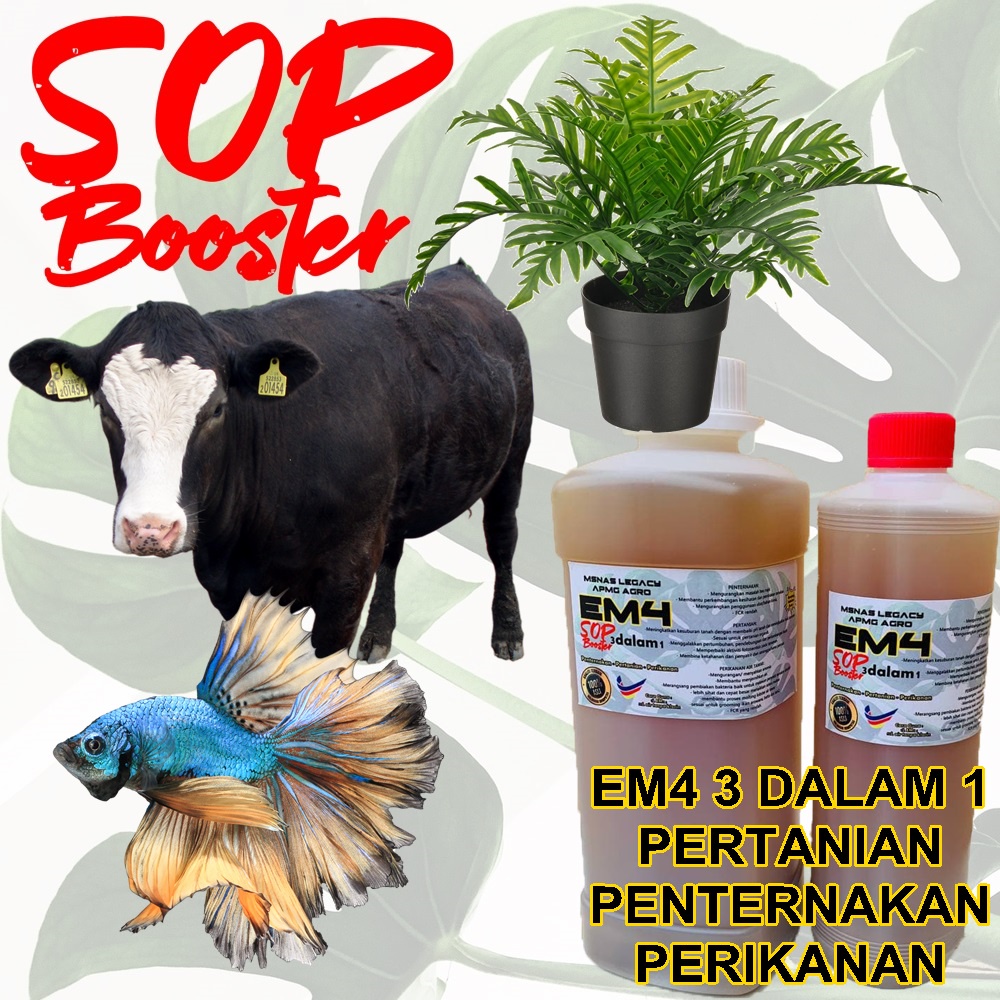 EM4 3 in 1 Pertanian Penternakan Perikanan aPMg Agro SOP Booster ...