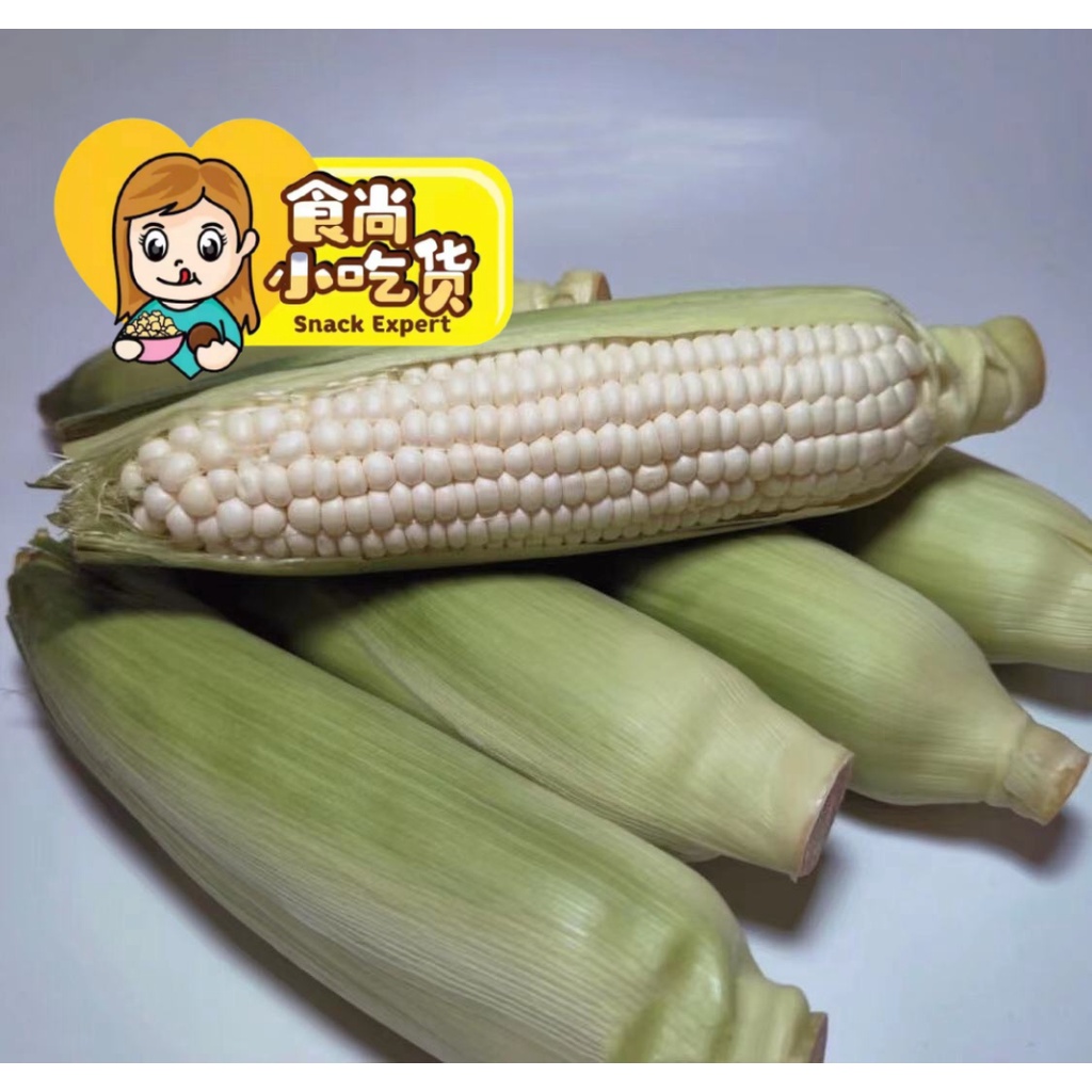 GRADE A ( 6- PCS/set) | White sweet Corn | jagung susu manis | 💯Cameron ...