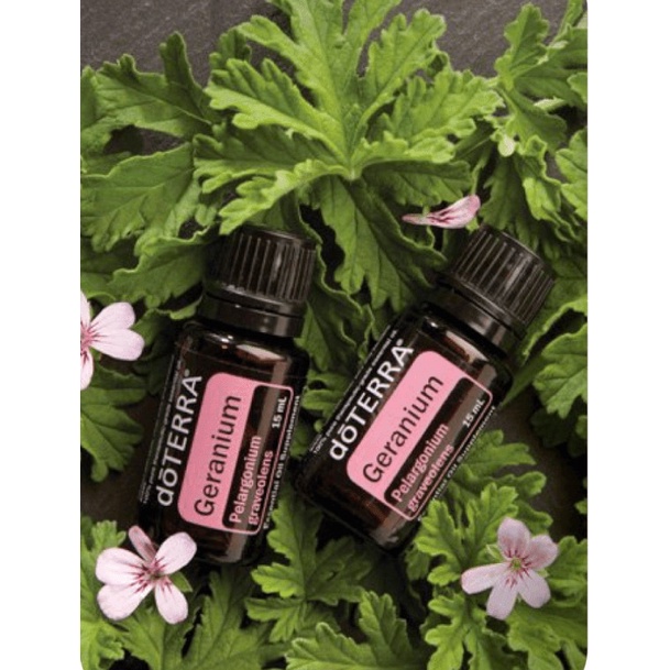 Geranium Doterra -15ml [100% Original] | Shopee Malaysia