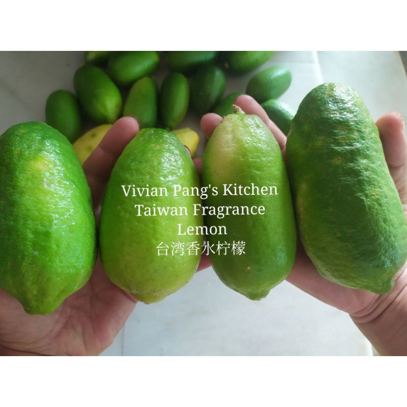 Perfume Lemons/ 香水柠檬/Taiwan Fragrance lemons/Limau | Shopee Malaysia