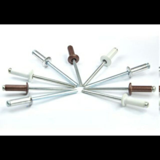 Aluminum rivets (pack of 250) | Shopee Malaysia