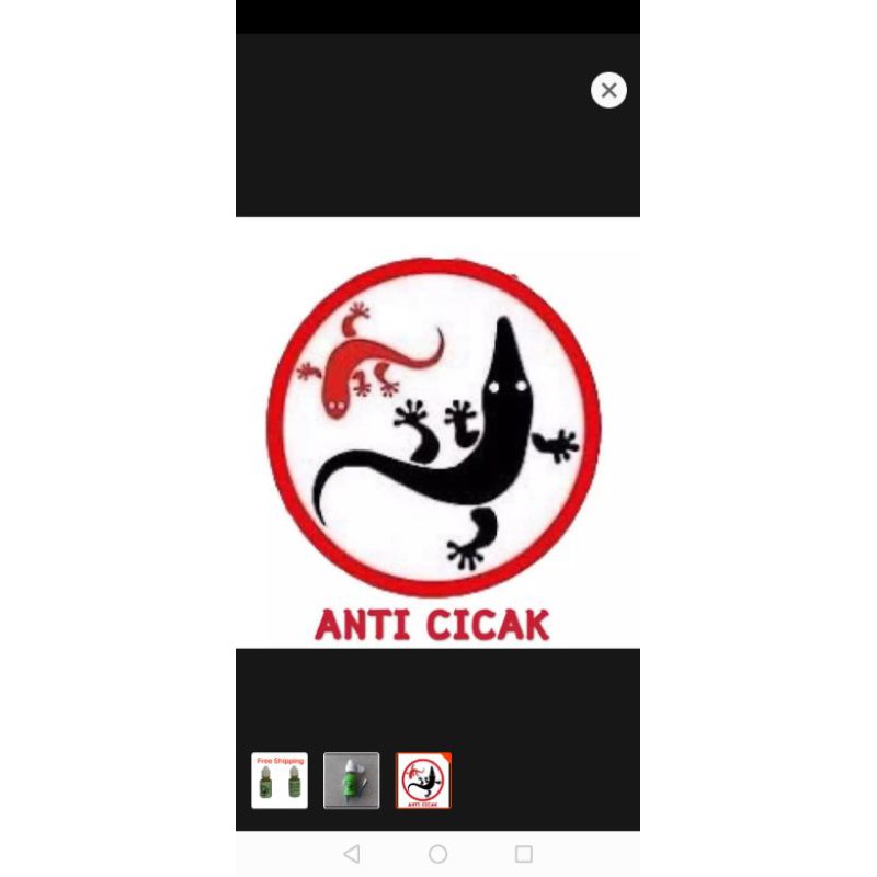 Anti lizard/lizard killer/lizard poison🇲🇾anti cicak （sangat berkesan）🔥 ...