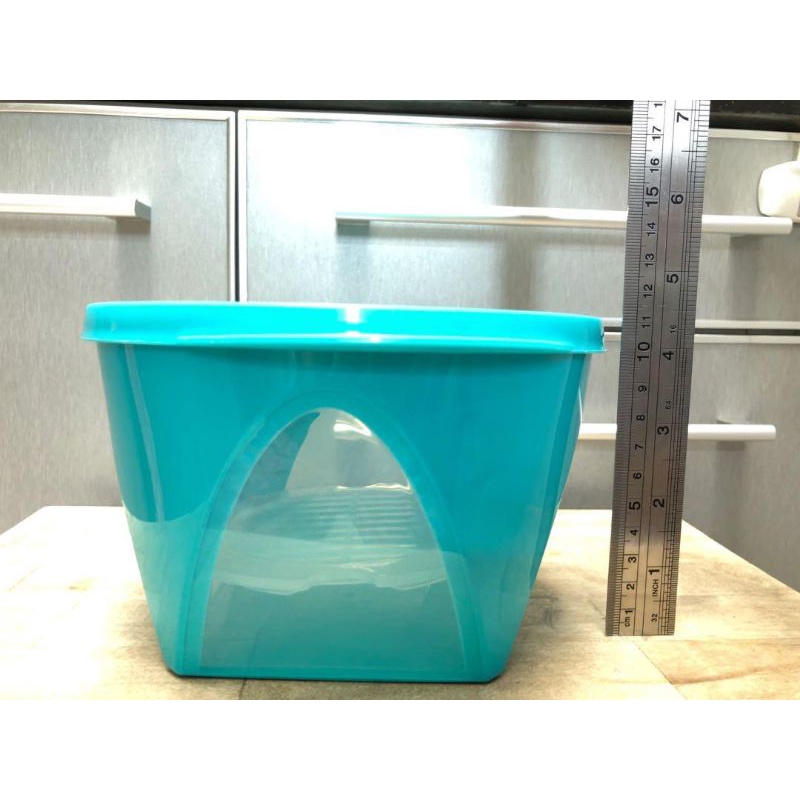 TUPPERWARE Outdoor Dining Bowl 1.5L / 4.3L (2 pcs) | Shopee Malaysia