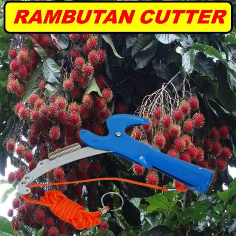 Two Way Rambutan Cutter/Gunting Rambutan/Rambutan Shear/Pemotong ...