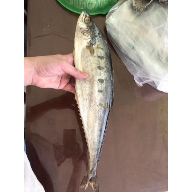 1kg Dried raft fish ( mackerel fish) | Shopee Malaysia