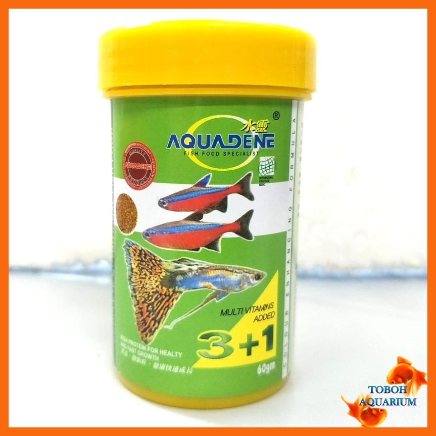 Aquadene High Growth Micro Pellet 3+1 60g | Shopee Malaysia